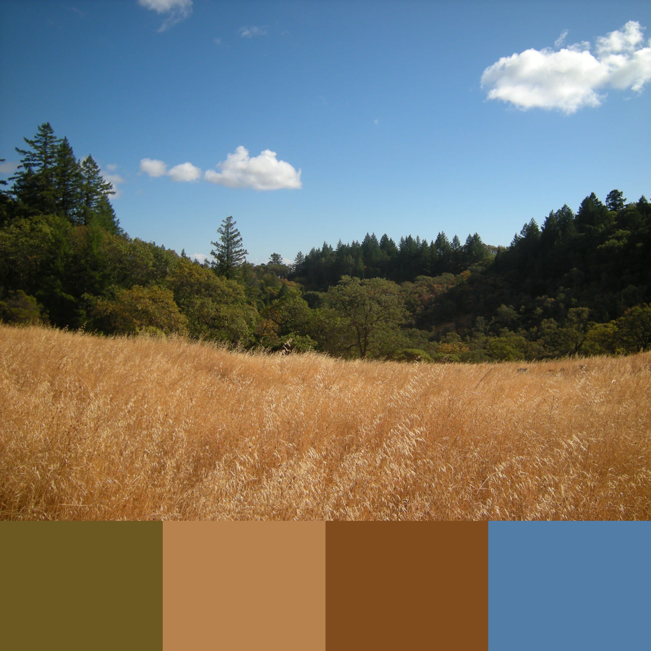 Weaving and knitting the colors of the landscape. | JjD
